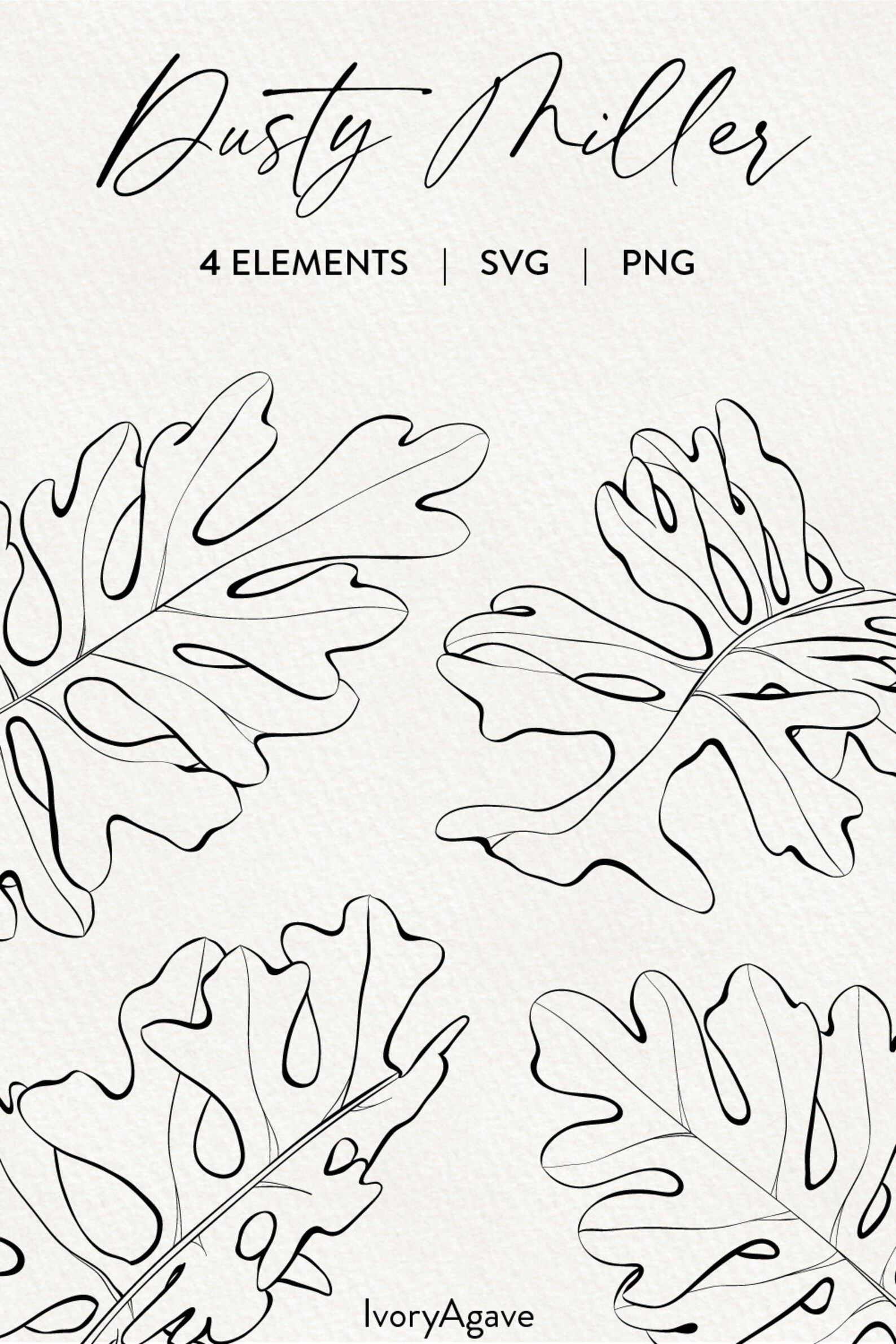 Dusty Miller Line Art Clipart | Botanical Flower Greenery Hand Drawn ...