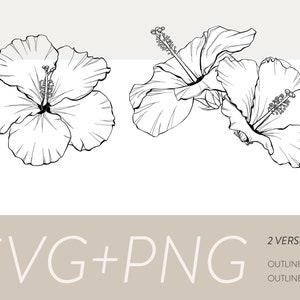 Hibiscus Flowers Line Art Clipart Summer Tropical Botanical Hand Drawn ...