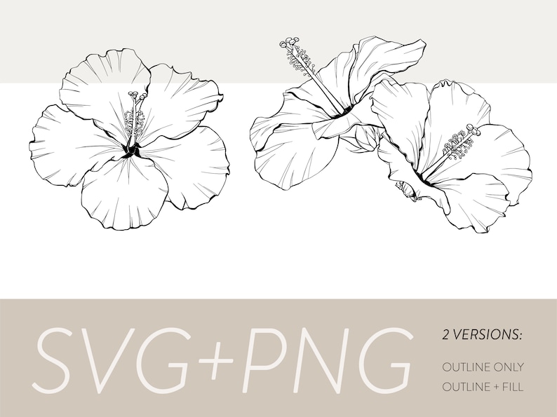 Hibiscus Flowers Line Art Clipart Summer Tropical Botanical Hand Drawn ...