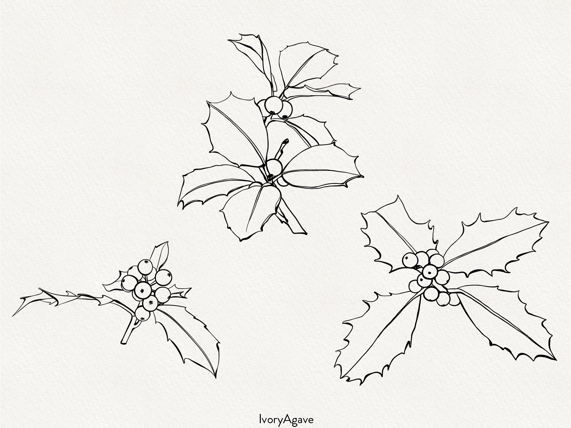 Holly Leaves Line Art Clipart | Christmas Winter Holiday Greenery Flora ...