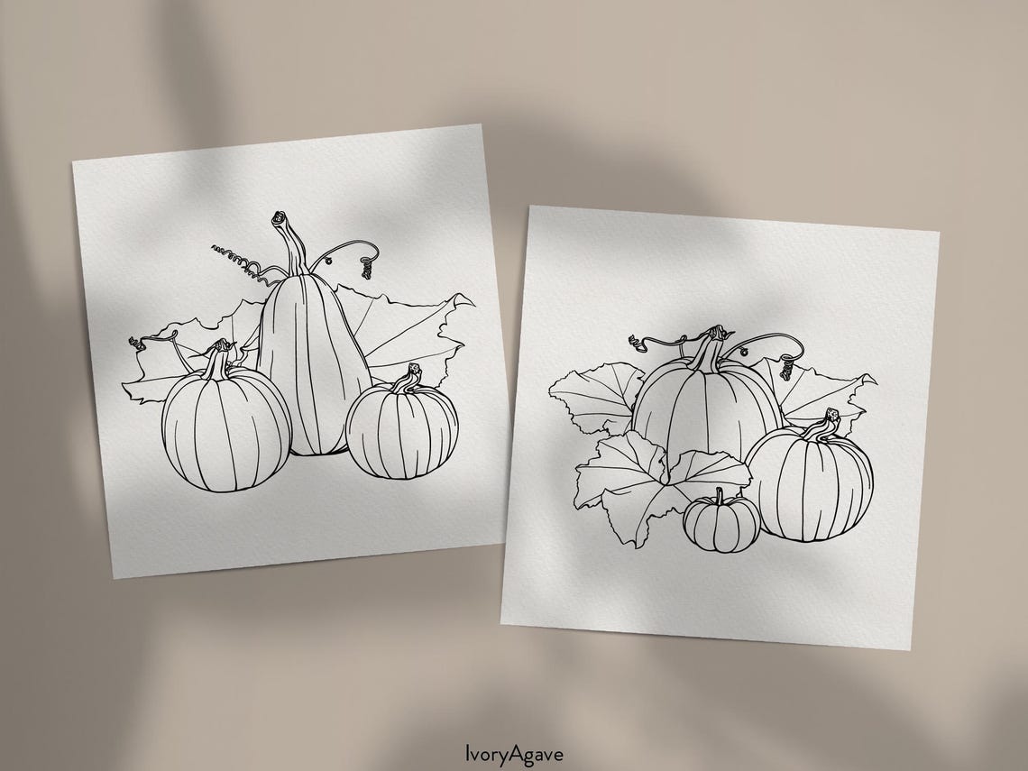 Fall Pumpkin Patch Line Art Clipart | Autumn Pumpkins Vines Leaves Hand ...