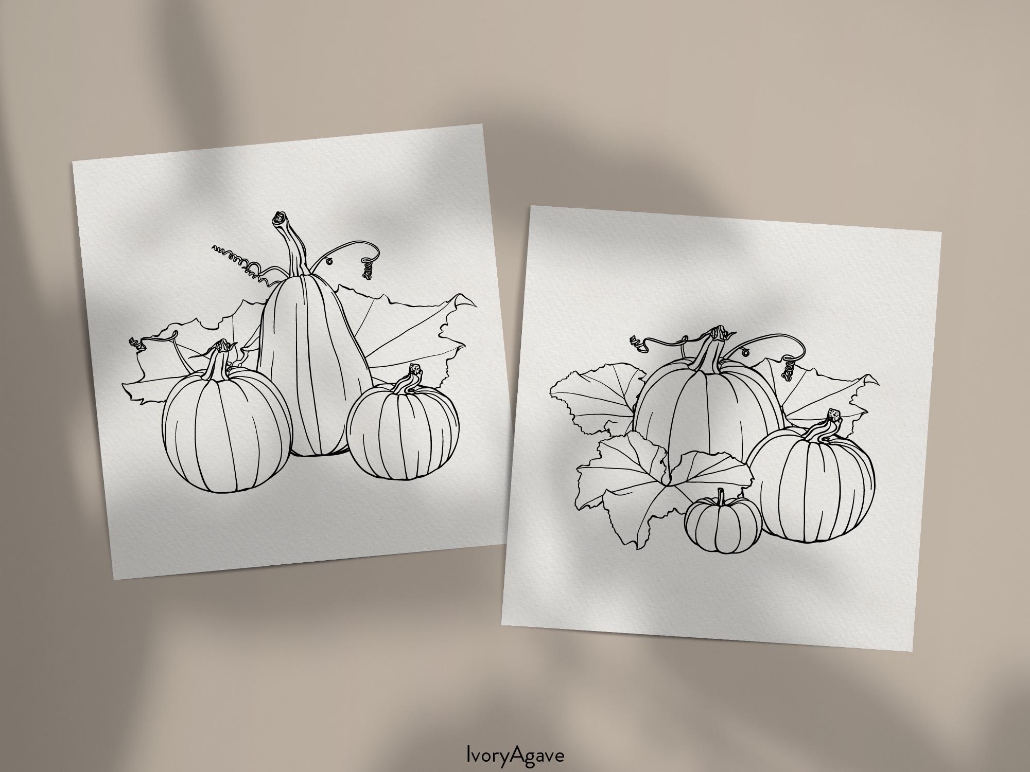 Fall Pumpkin Patch Line Art Clipart | Autumn Pumpkins Vines Leaves Hand ...