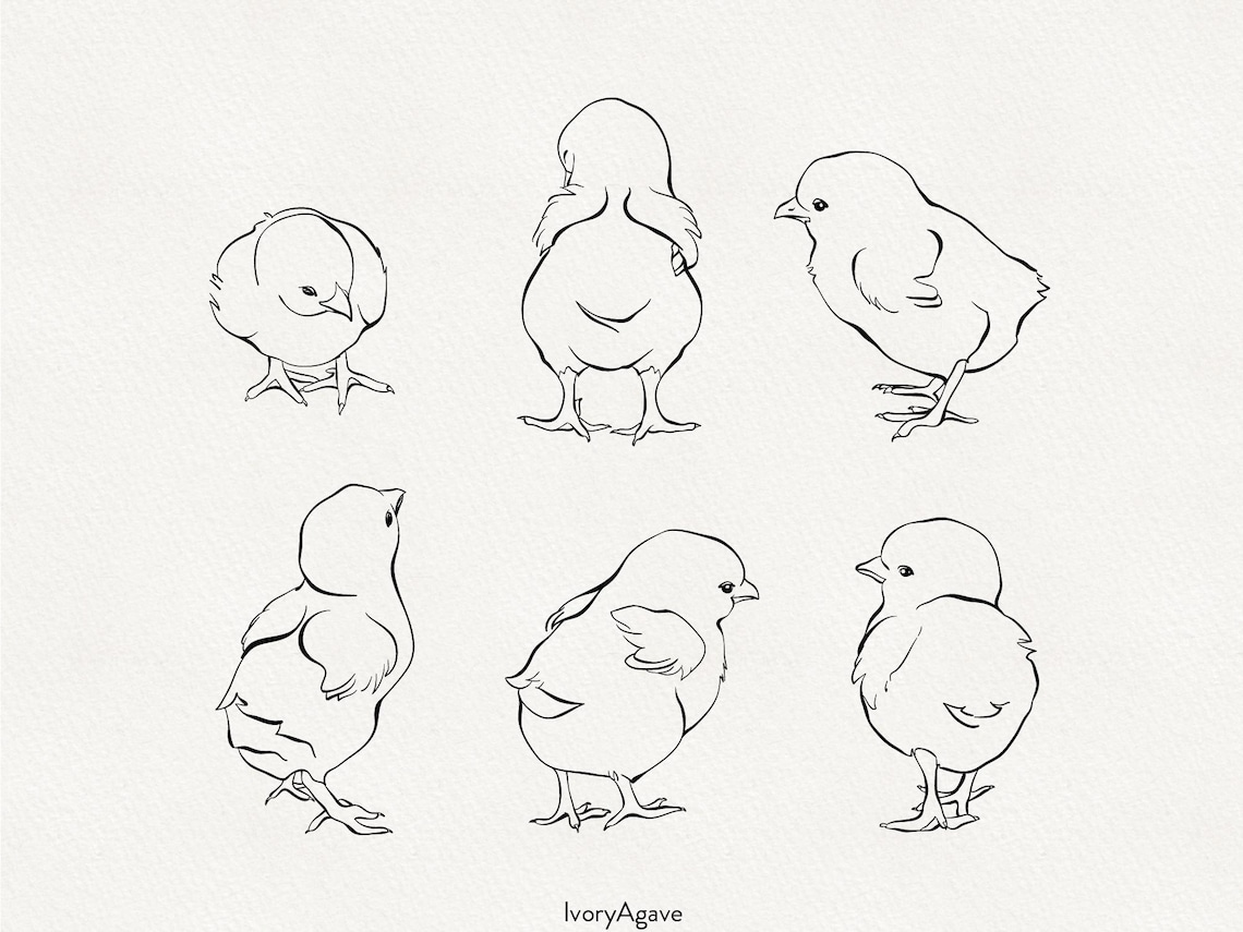 Cute Baby Chicks Line Art Clipart Modern Spring Easter Hand Drawn ...