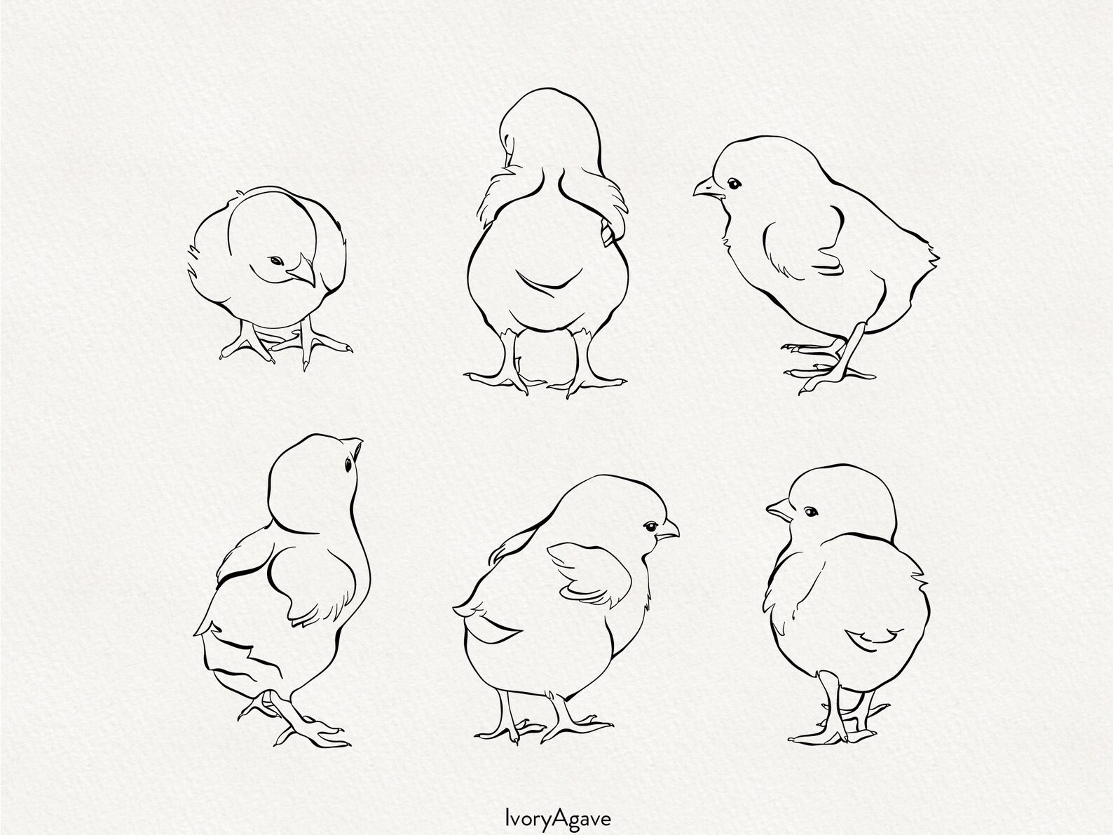 Cute Baby Chicks Line Art Clipart Modern Spring Easter Hand Drawn ...