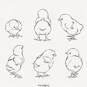Cute Baby Chicks Line Art Clipart Modern Spring Easter Hand Drawn ...