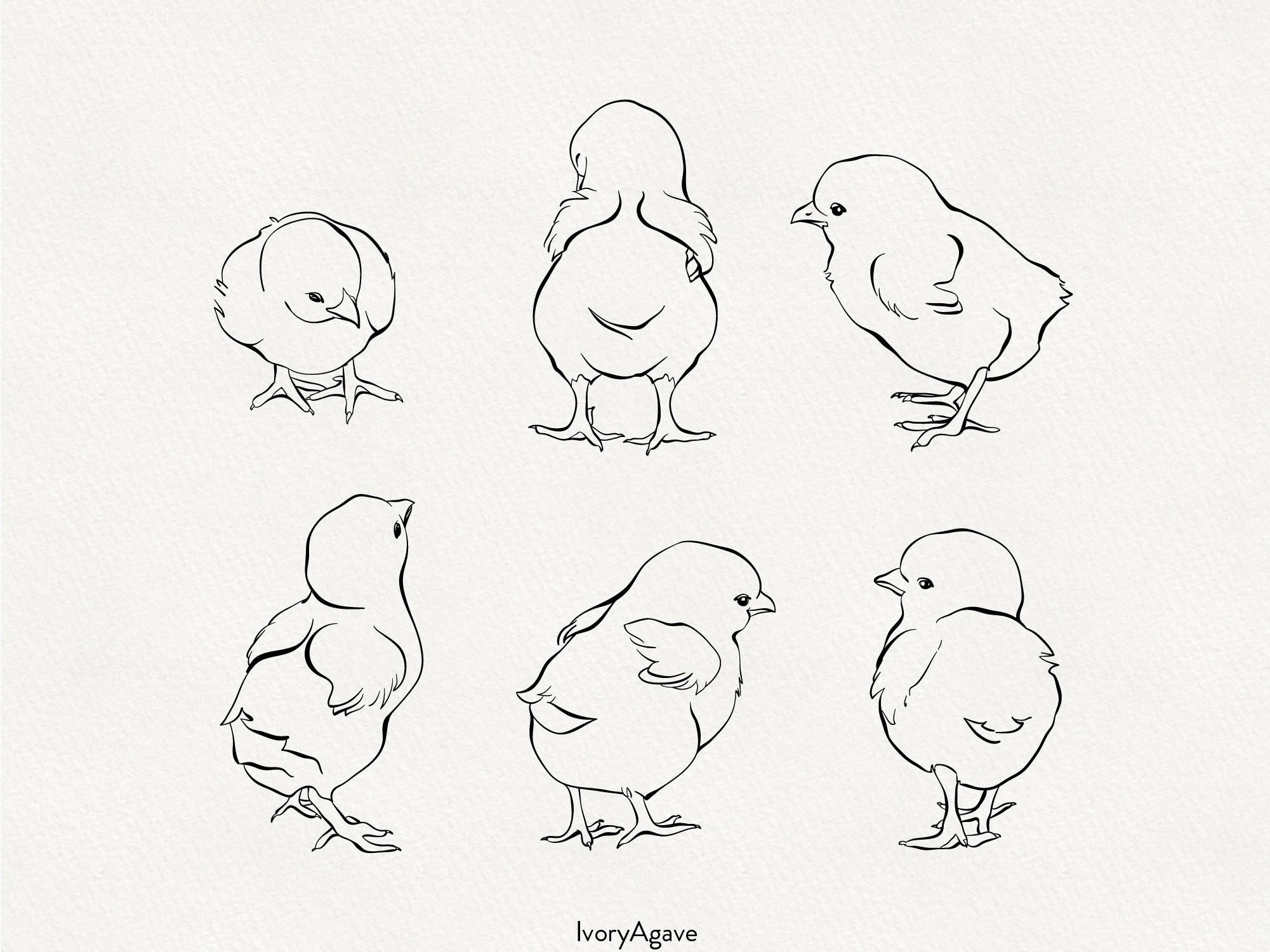 Cute Baby Chicks Line Art Clipart Modern Spring Easter Hand Drawn ...