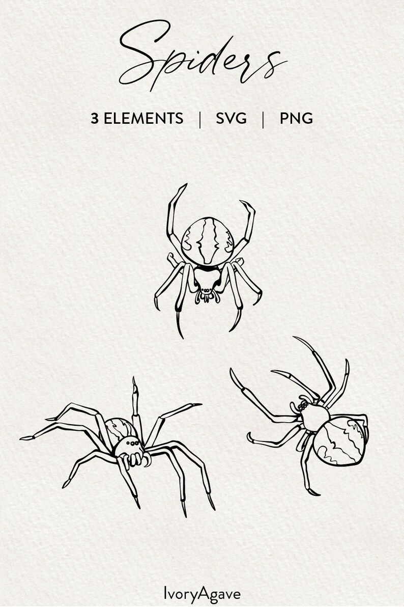 Spiders Halloween Line Art Clipart | Hand Drawn Vector | Fine Line ...