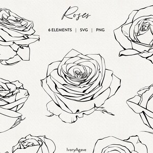 Rose Line Art Clipart Botanical Flower Hand Drawn Illustration SVG PNG ...