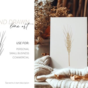 Fall Wheat Autumn Harvest Line Art Drawing: Hand Drawn Vector ...