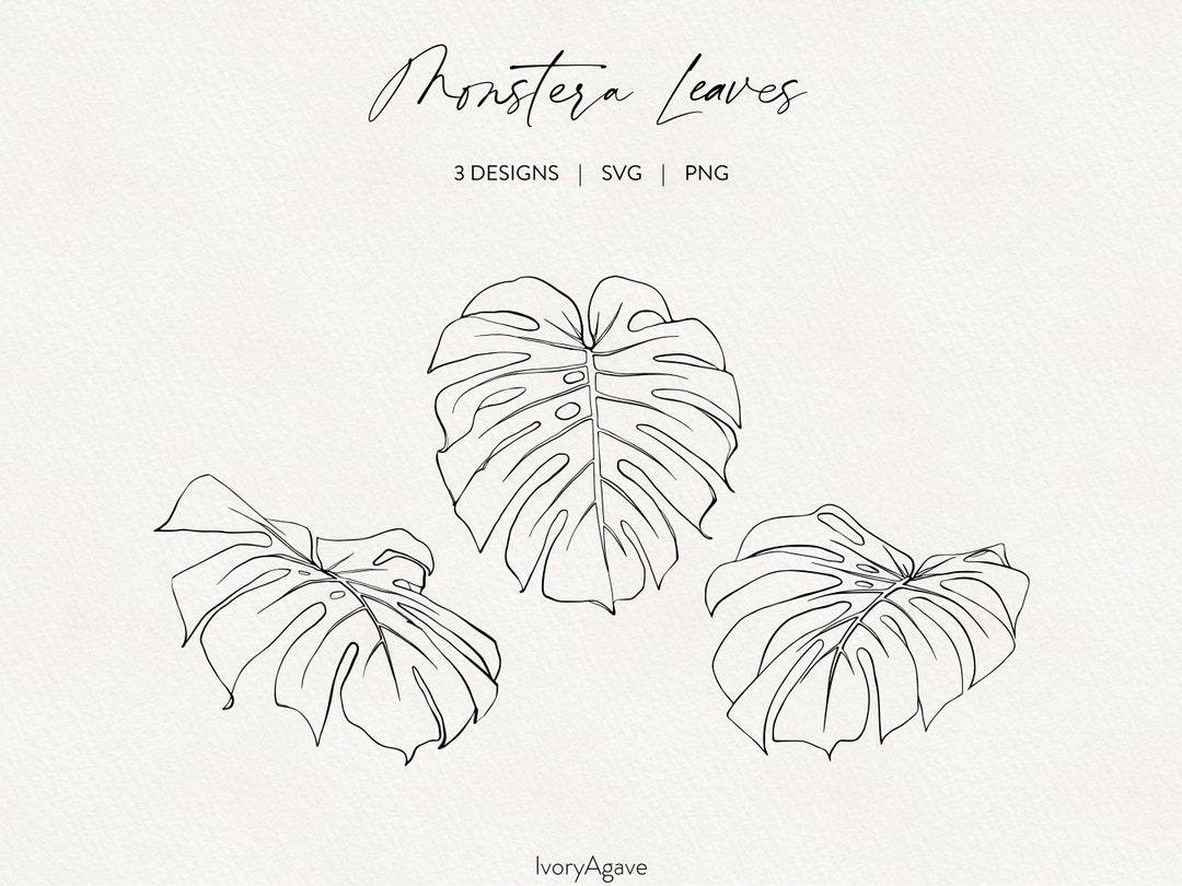 Monstera Line Art Clipart | Summer Tropical Leaves Botanical Hand Drawn ...