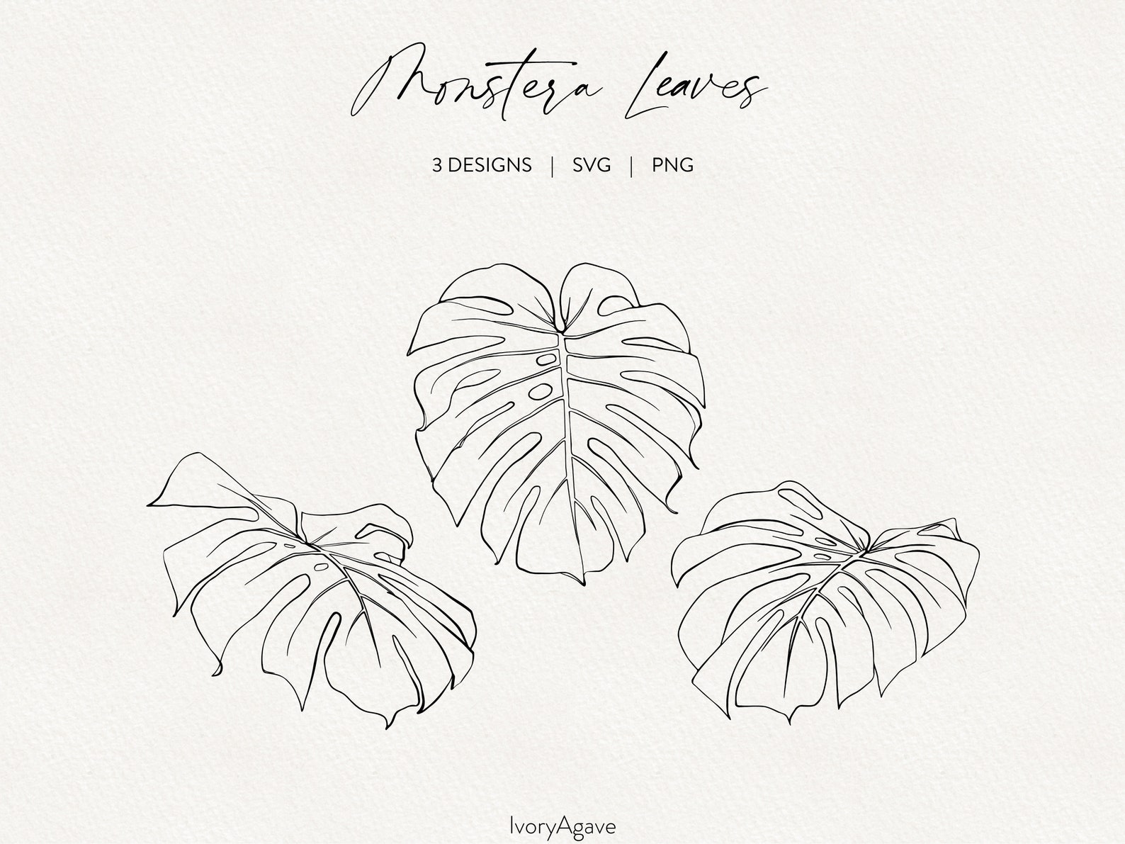 Monstera Line Art Clipart | Summer Tropical Leaves Botanical Hand Drawn ...