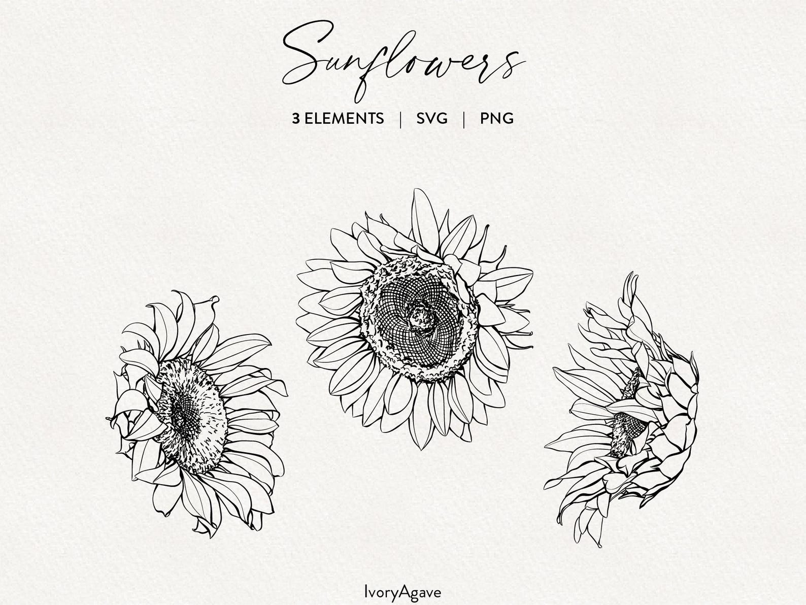 Sunflowers Line Art Clipart | Hand Drawn Floral Botanical Vector | Fine ...