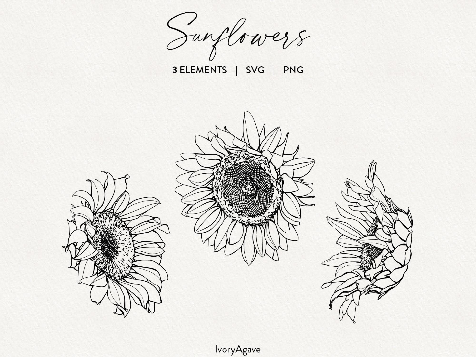 Sunflowers Line Art Clipart Hand Drawn Floral Botanical Vector Fine ...