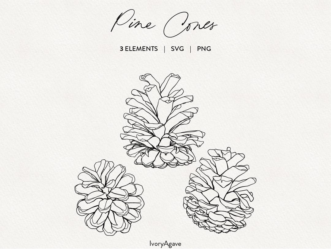 Pine Cones Line Art Clipart | Winter Holiday Greenery Flora Hand Drawn ...
