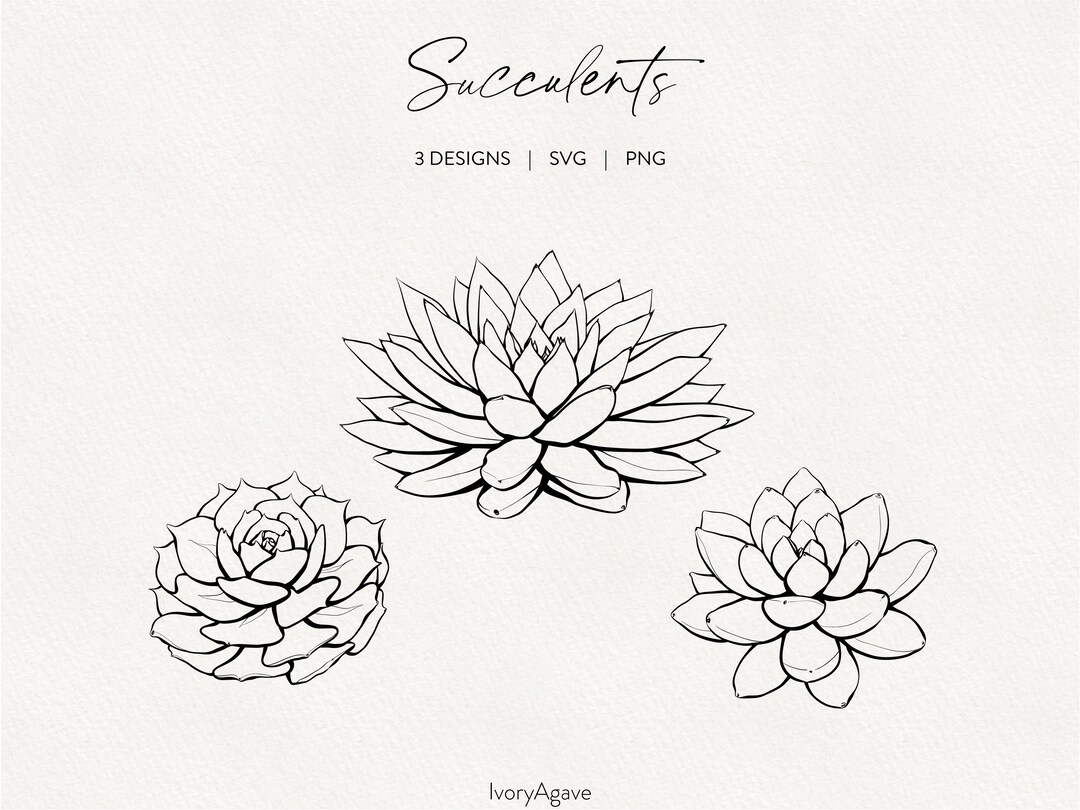 Succulent Line Art Clipart | Summer Botanical Flower Hand Drawn SVG PNG ...