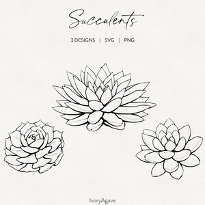 Succulent Line Art Clipart | Summer Botanical Flower Hand Drawn SVG PNG ...