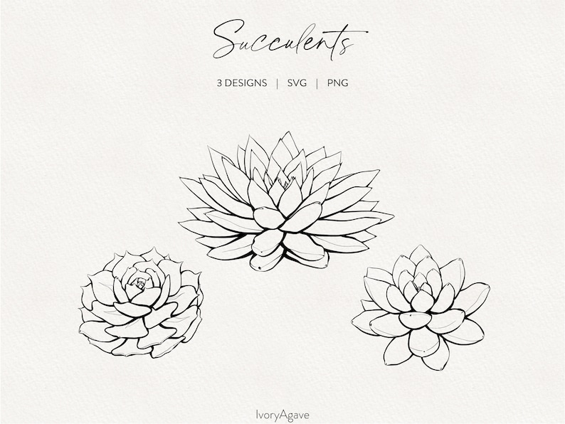 Succulent Line Art Clipart | Summer Botanical Flower Hand Drawn SVG PNG ...