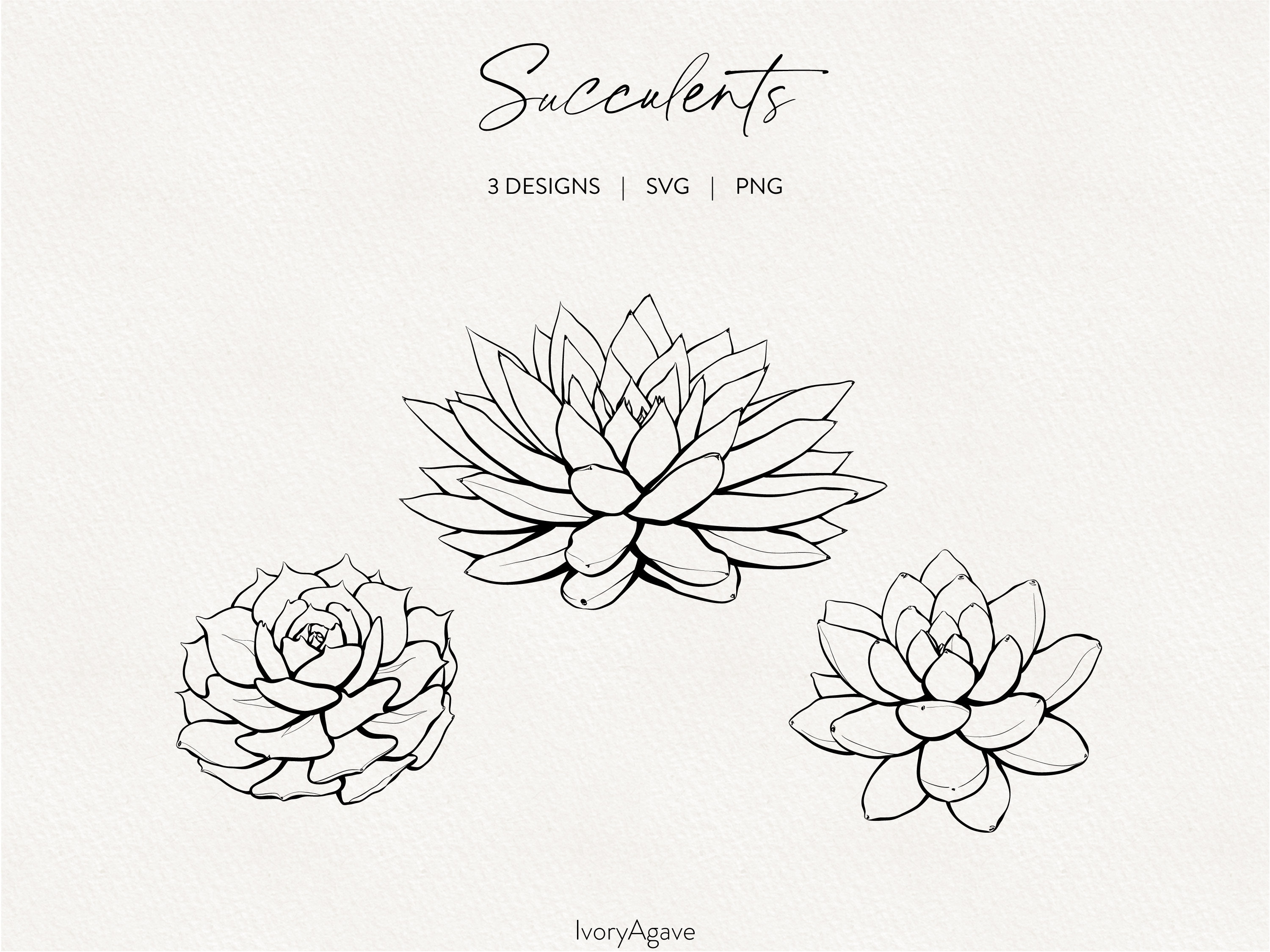 Succulent Line Art Clipart | Summer Botanical Flower Hand Drawn SVG PNG ...