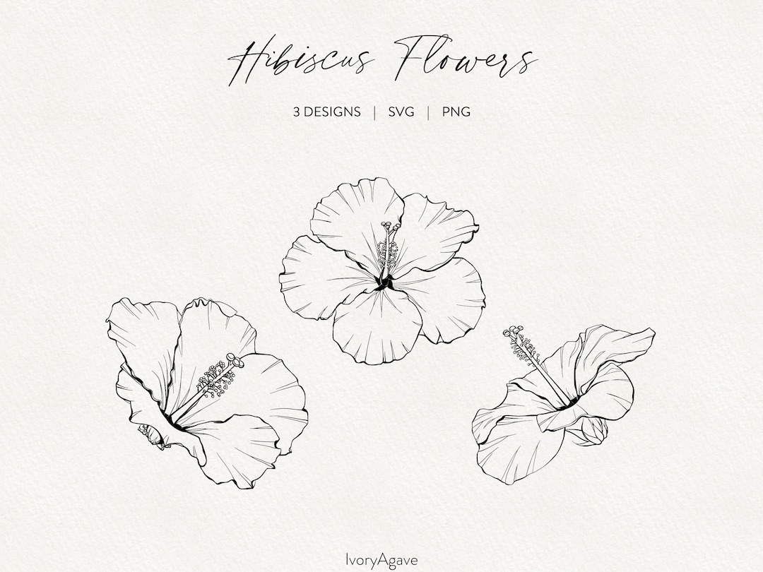 Hibiscus Flowers Line Art Clipart Summer Tropical Botanical Hand Drawn ...
