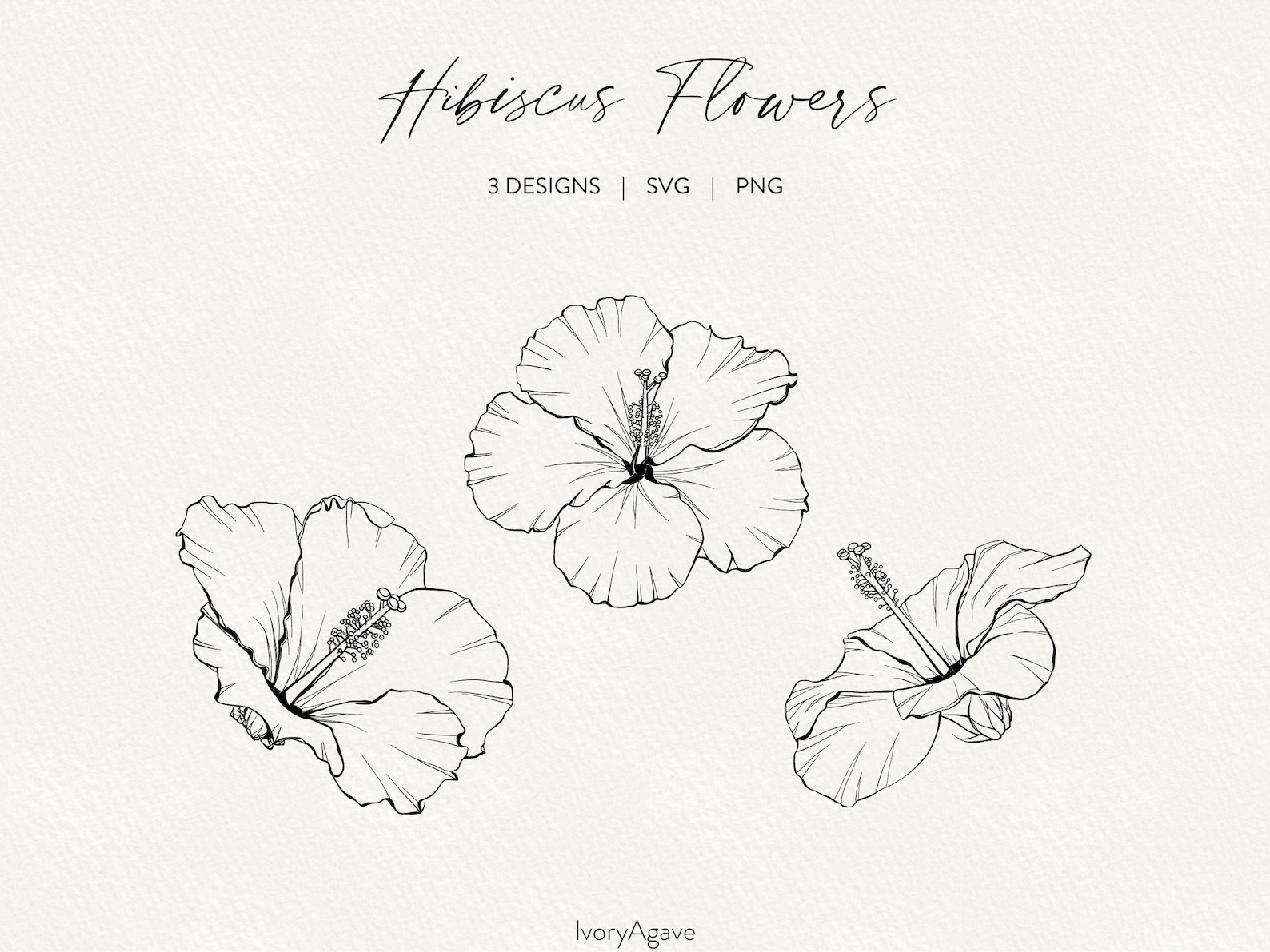 Hibiscus Flowers Line Art Clipart Summer Tropical Botanical Hand Drawn ...