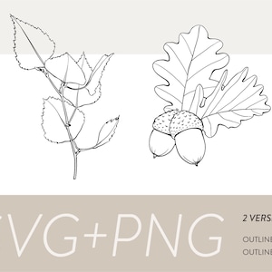 Fall Foliage Oak Birch Maple Leaves Line Art Clipart | Autumn Leaves ...