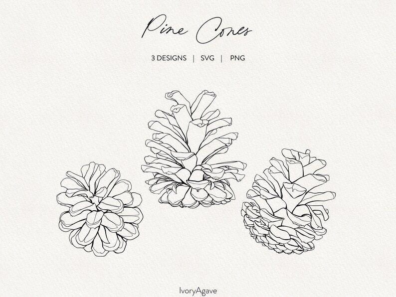 Pine Cones Line Art Clipart Winter Holiday Greenery Flora Hand Drawn ...