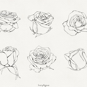 Rose Line Art Clipart | Botanical Flower Hand Drawn Illustration ...
