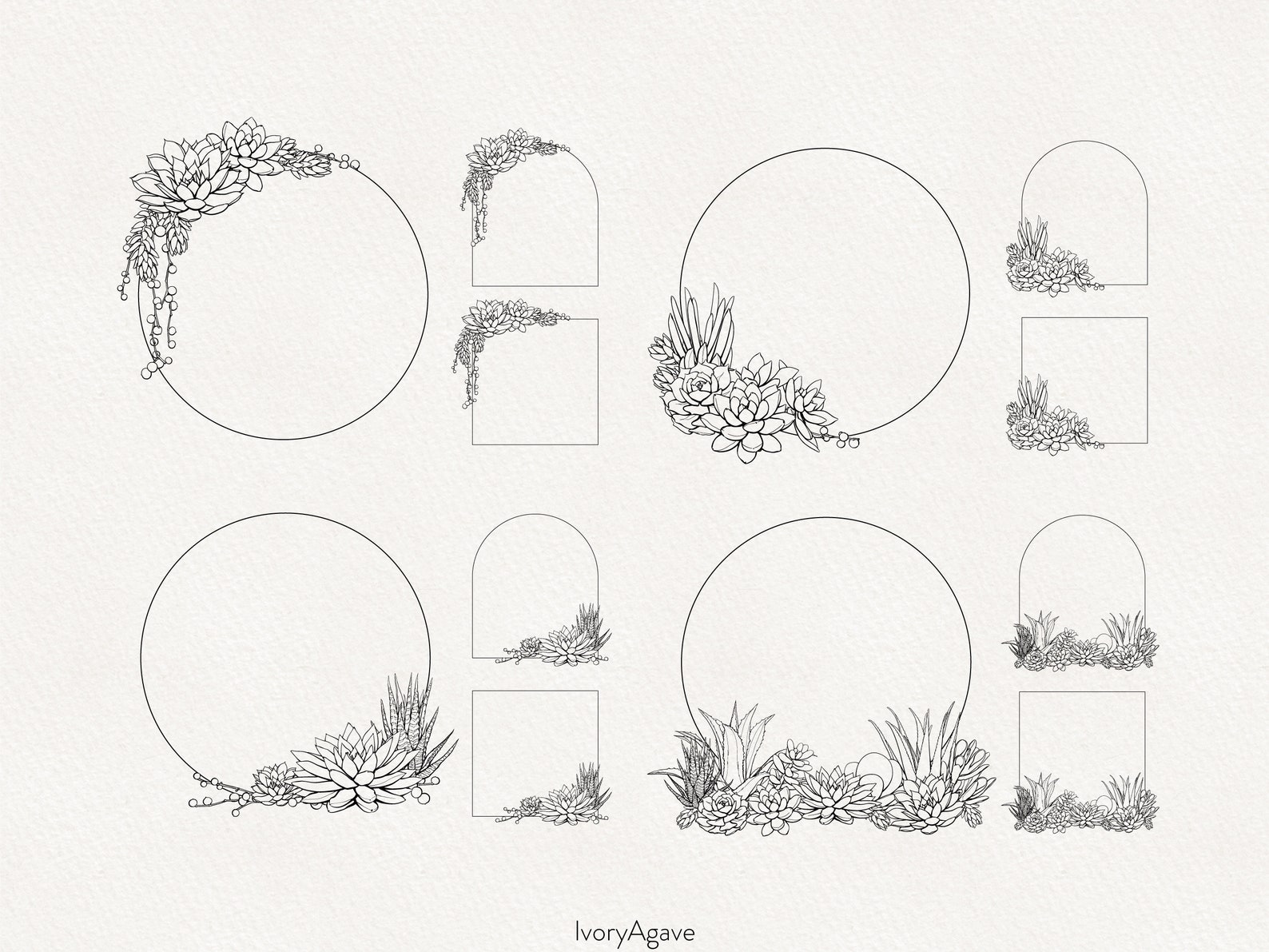 Succulent Garden Line Art Clipart | Summer Botanical Flower Hand Drawn ...