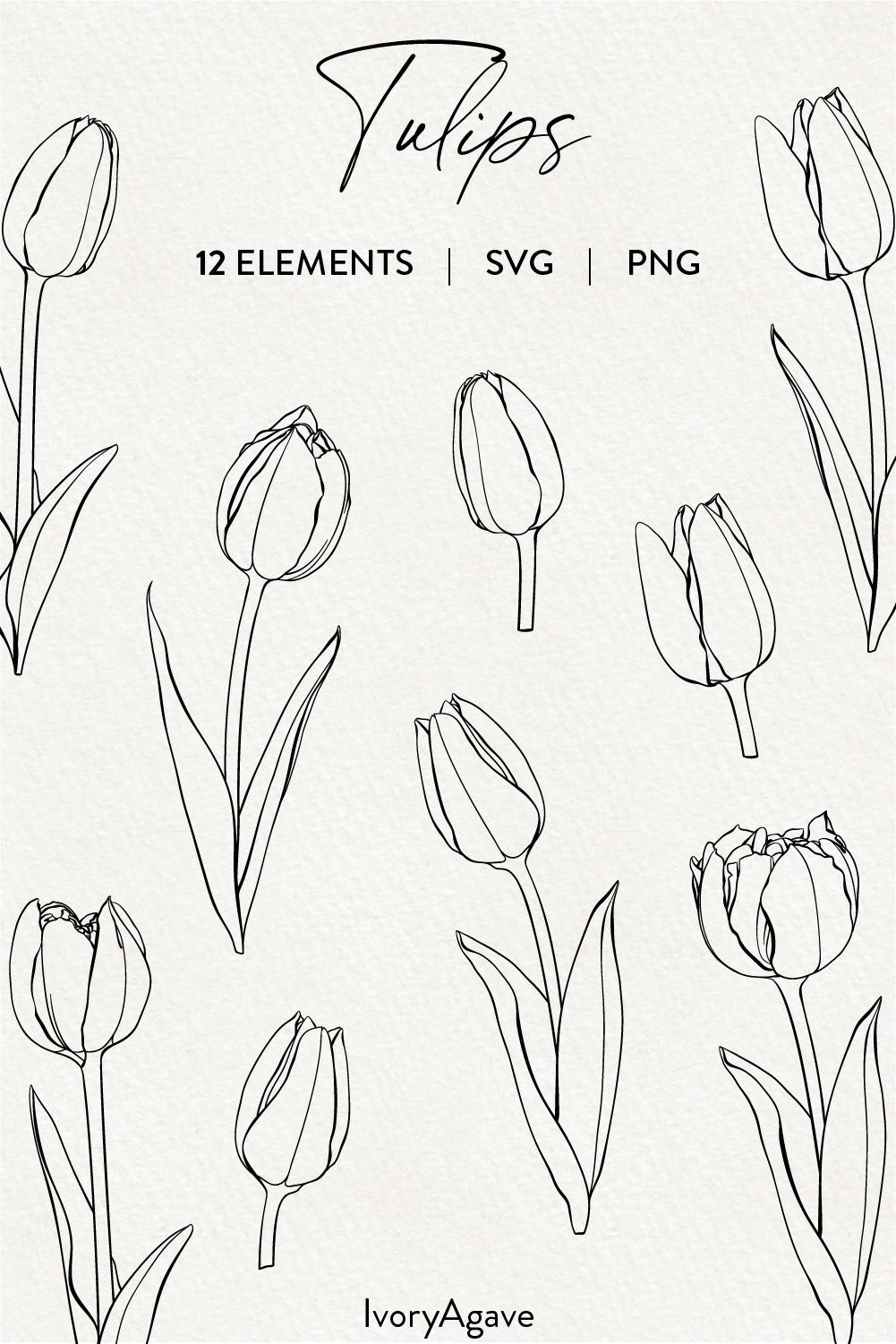 Tulip Flowers Line Art Clipart Modern Spring Easter Florals Hand Drawn ...