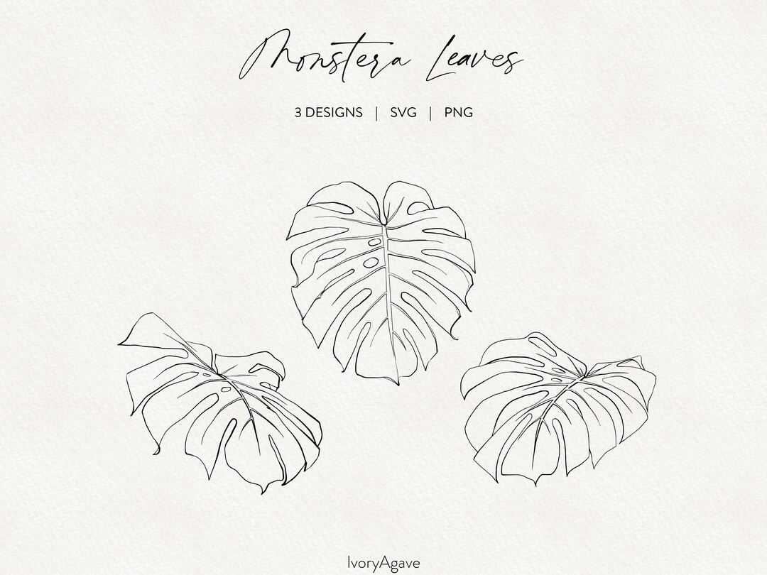 Monstera Line Art Clipart Summer Tropical Leaves Botanical - Etsy