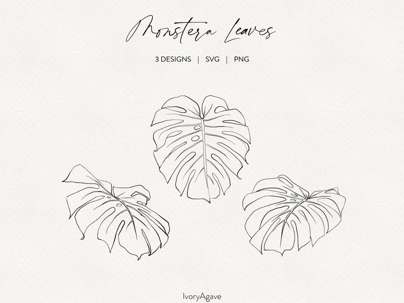 Monstera Line Art Clipart Summer Tropical Leaves Botanical - Etsy