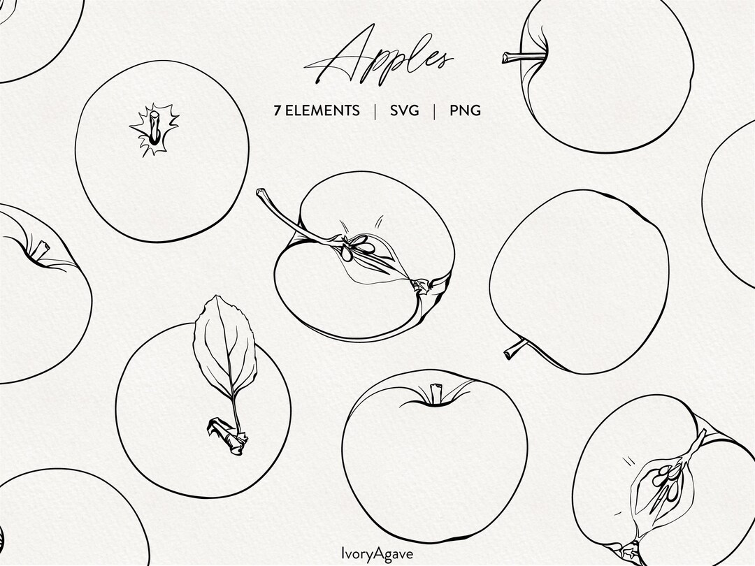 Fall Apples Line Art Drawing Graphics Autumn Fruits Hand Drawn Vector ...