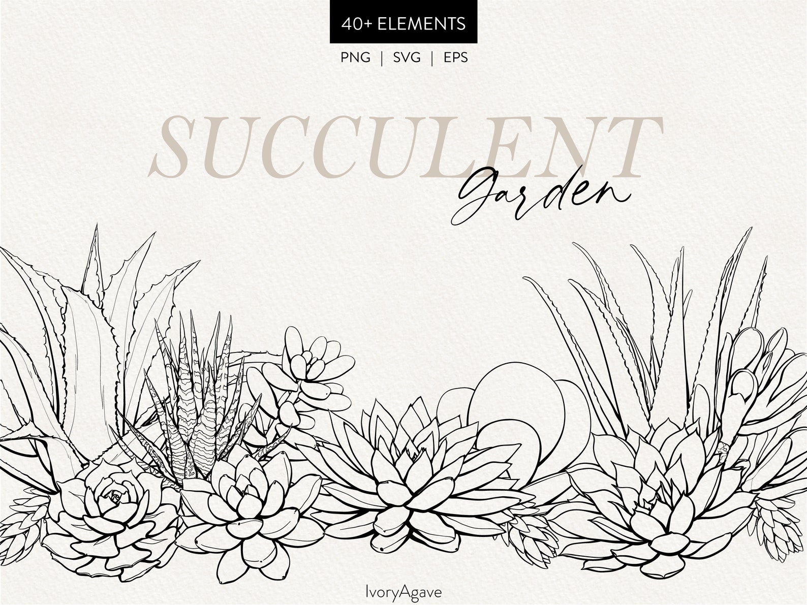 Succulent Garden Line Art Clipart | Summer Botanical Flower Hand Drawn ...