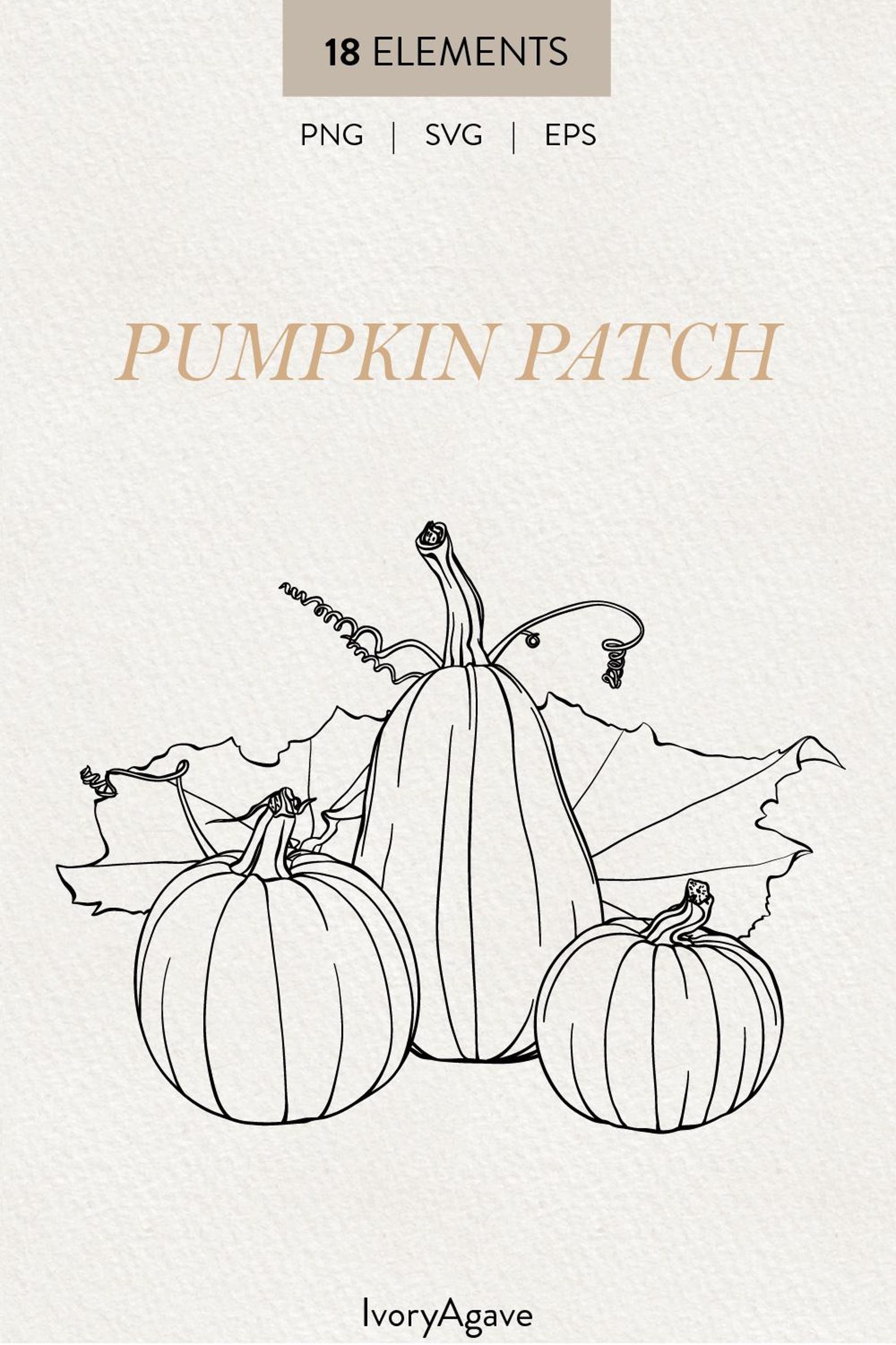 Fall Pumpkin Patch Line Art Clipart | Autumn Pumpkins Vines Leaves Hand ...
