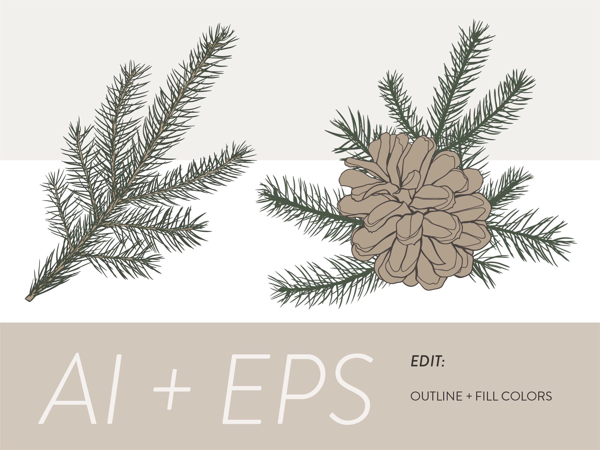 Pine Cones and Spruce Branches Line Art Clipart Graphic | Winter ...