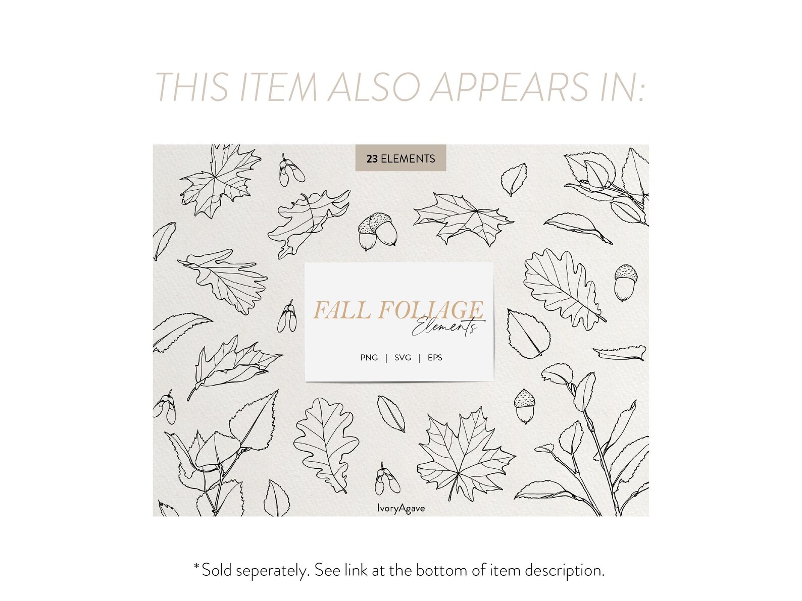 Fall Foliage Oak Leaves Line Art Clipart | Hand Drawn Vector | Fine ...