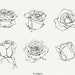 Rose Line Art Clipart Botanical Flower Hand Drawn Illustration SVG PNG ...