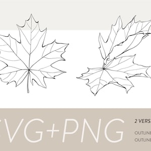 Fall Foliage Maple Leaves Line Art Clipart | Hand Drawn Vector | Fine ...