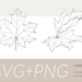 Fall Foliage Maple Leaves Line Art Clipart | Hand Drawn Vector | Fine ...