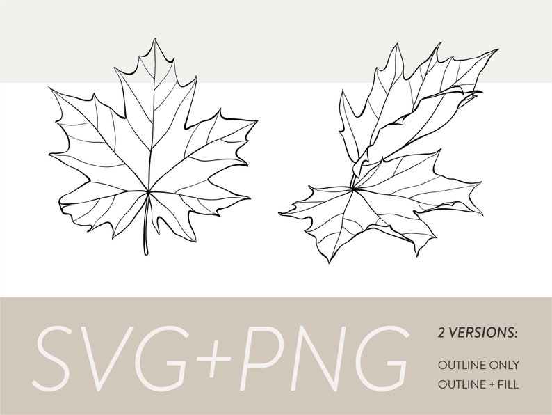 Fall Foliage Maple Leaves Line Art Clipart | Hand Drawn Vector | Fine ...