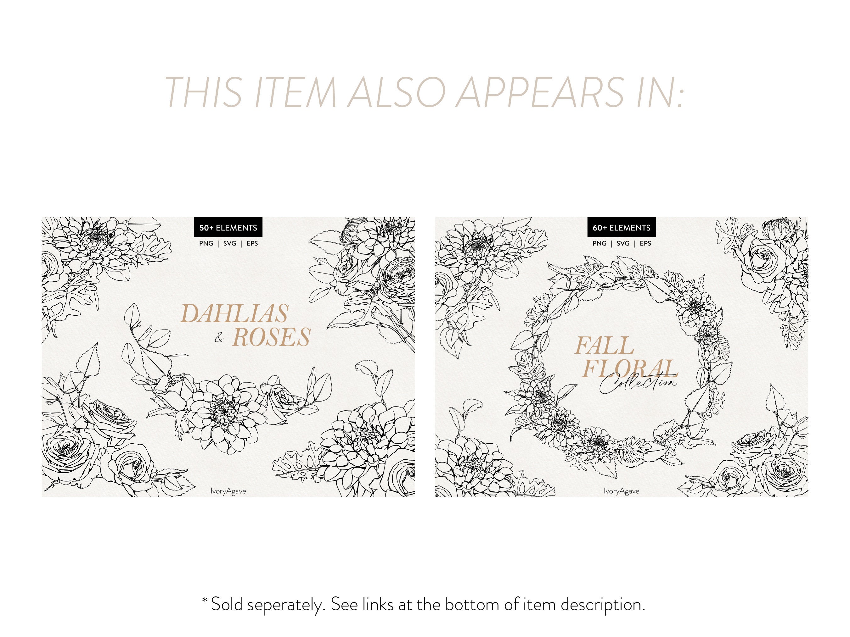 Fall Floral Line Art Clipart Elements | Autumn Botanical Flowers Hand ...