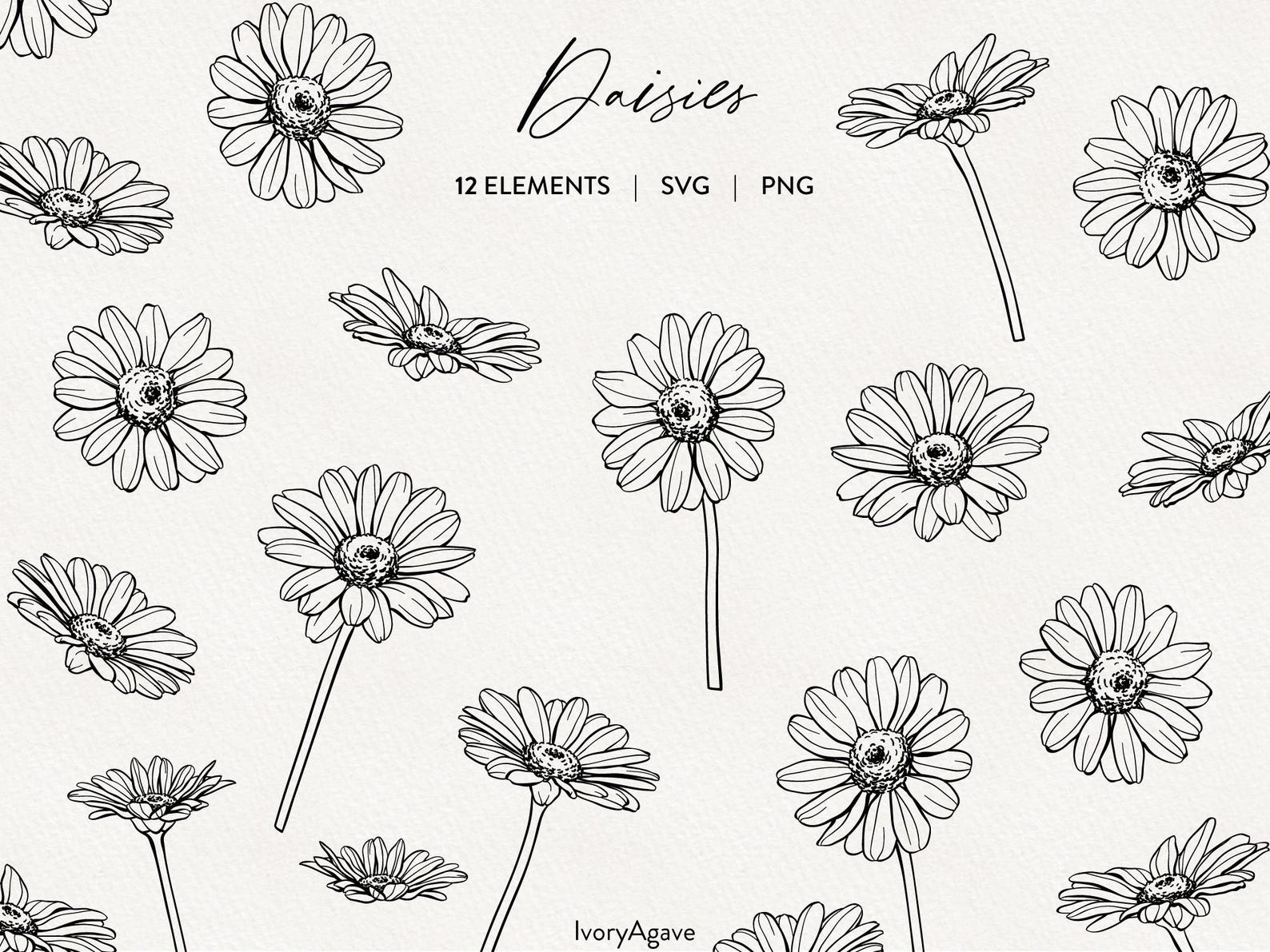 Daisy Flowers Line Art Clipart Modern Spring Easter Florals Hand Drawn ...