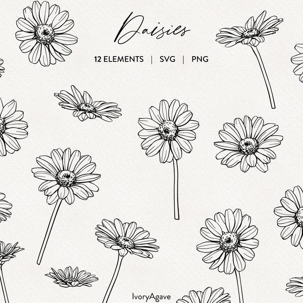 Daisy Line Art Illustration - Etsy Australia