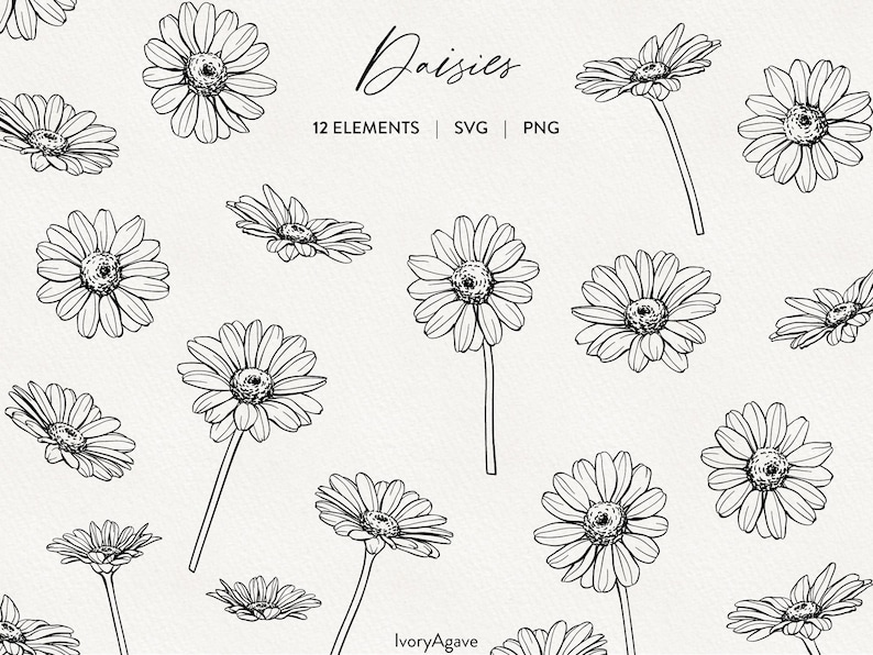 Daisy Flowers Line Art Clipart Modern Spring Easter Florals Hand Drawn ...