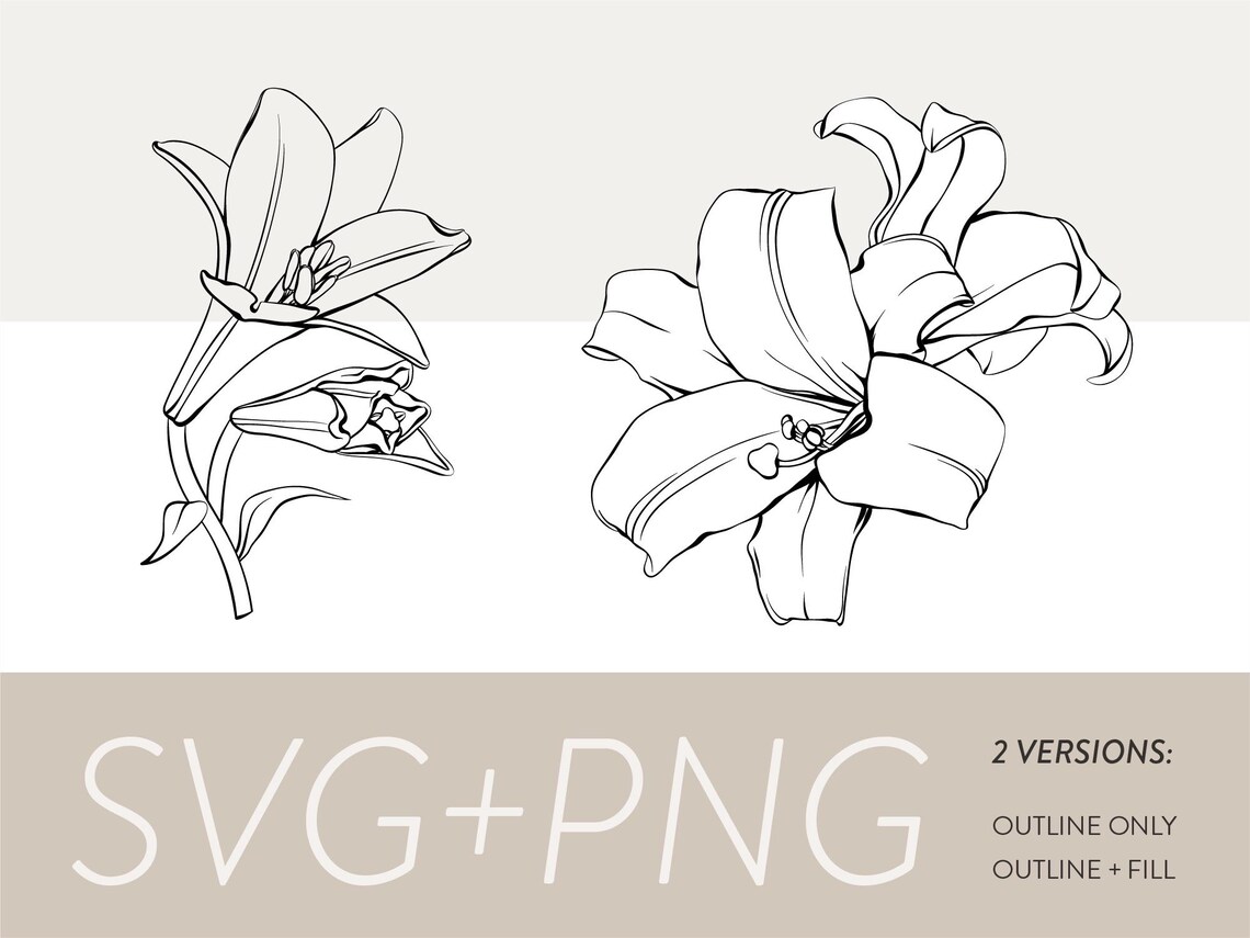 Easter Lily Flowers Line Art Clipart Modern Spring Easter Florals Hand ...