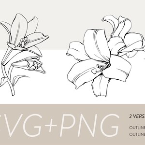 Easter Lily Flowers Line Art Clipart Modern Spring Easter Florals Hand ...