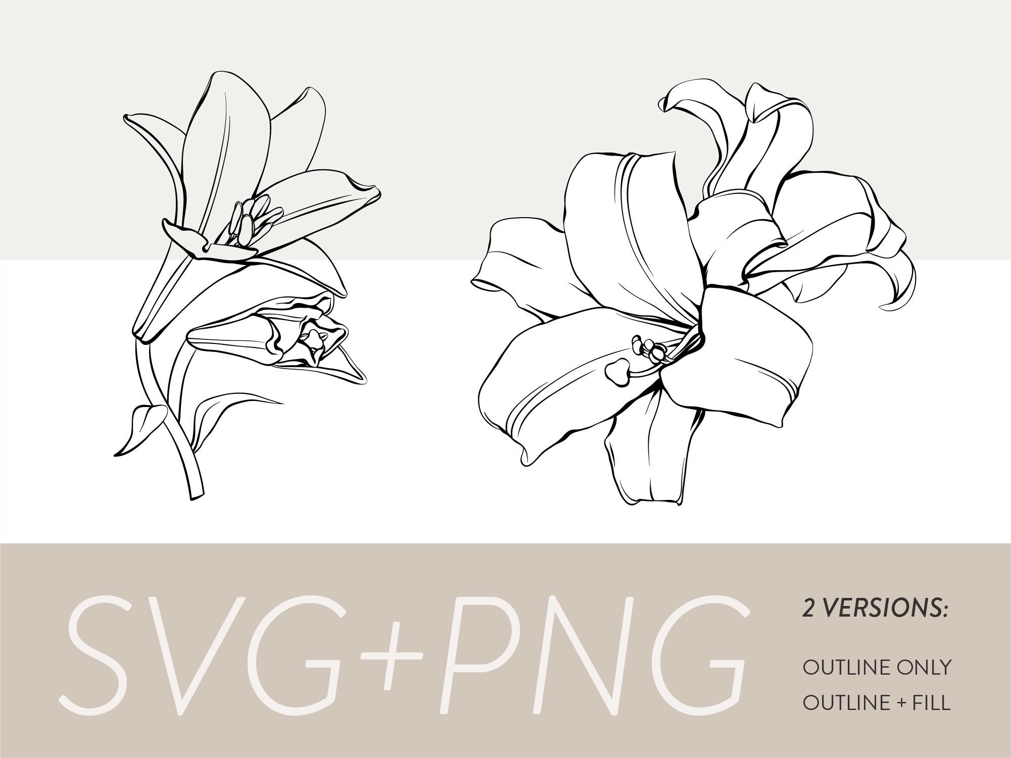 Easter Lily Flowers Line Art Clipart Modern Spring Easter Florals Hand ...