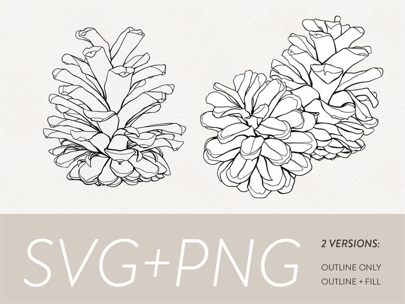 Pine Cones Line Art Clipart | Winter Holiday Greenery Flora Hand Drawn ...