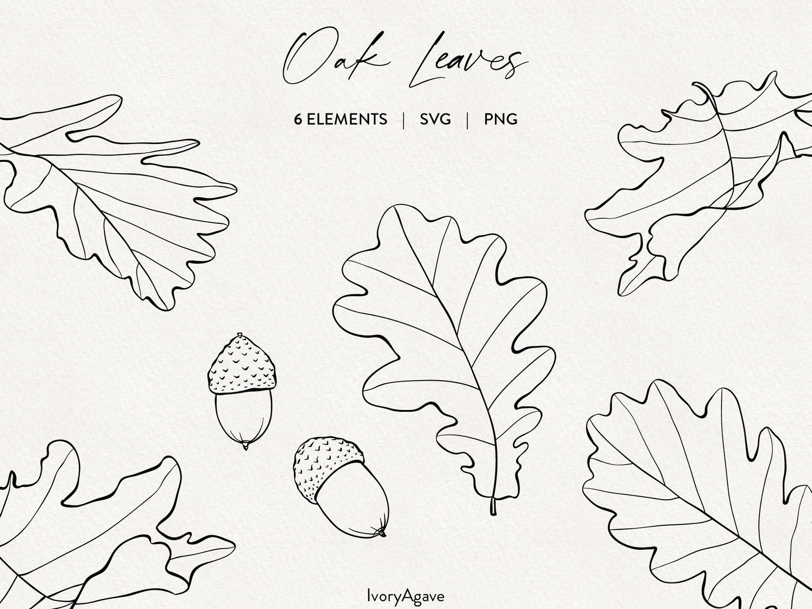 Fall Foliage Oak Leaves Line Art Clipart | Hand Drawn Vector | Fine ...
