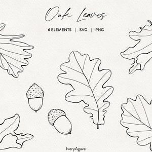 Fall Foliage Oak Leaves Line Art Clipart | Hand Drawn Vector | Fine ...